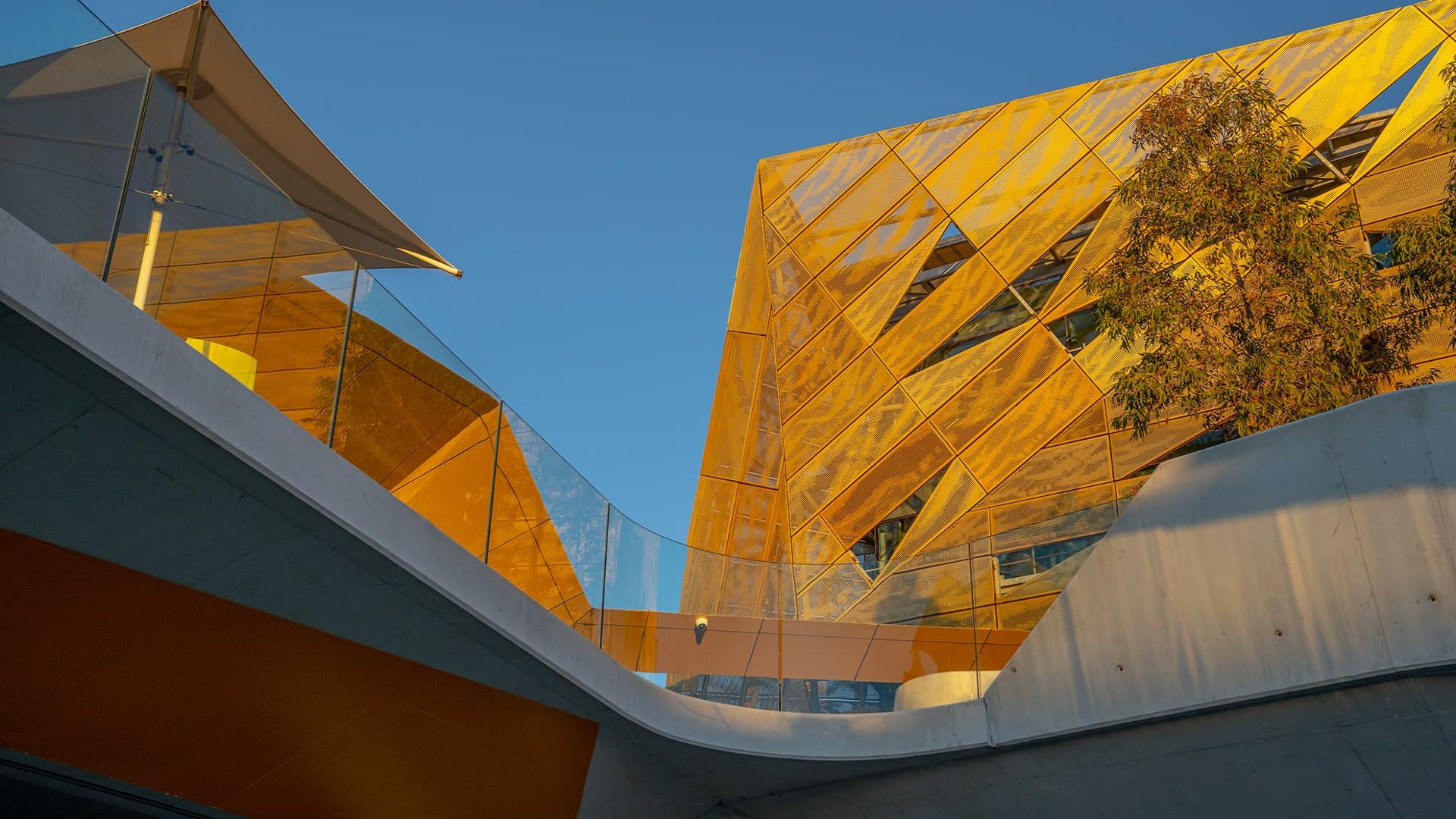 ECU | Experts guiding AI assessment reforms awarded globally for ...