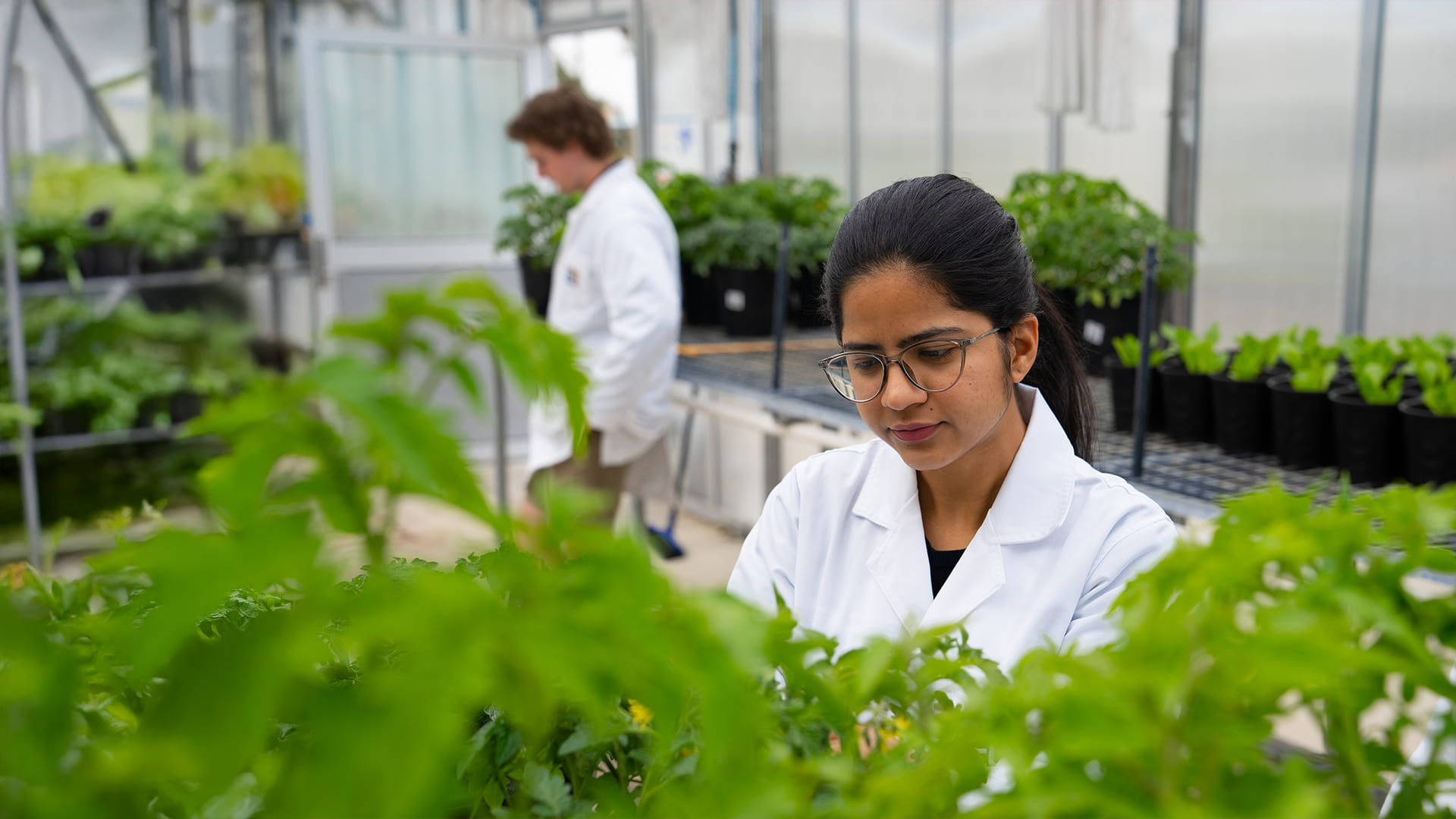 ECU | Master of Horticultural Science