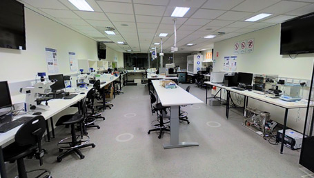 ECU Exercise & Sports Science Courses | World Ready