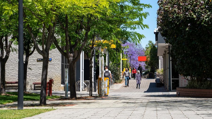 ECU | ECU addressing key community challenges with diverse social work ...