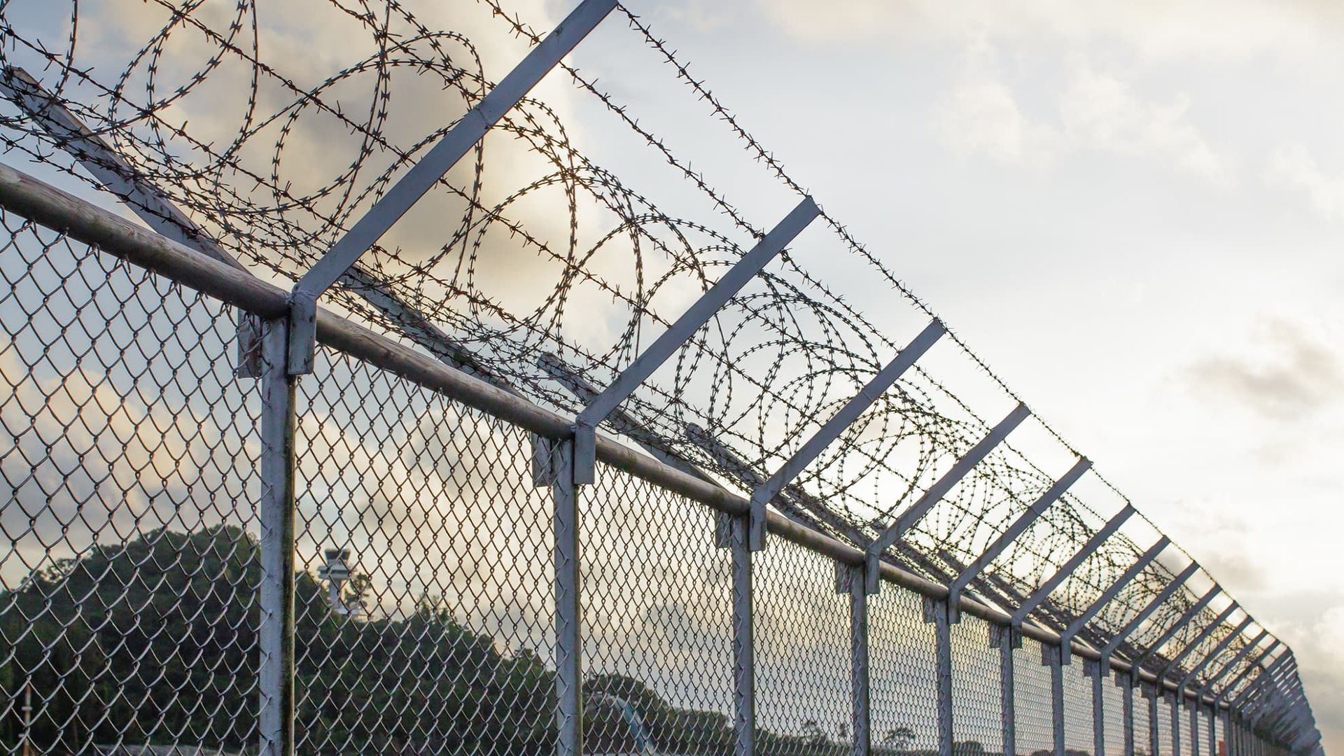 ECU | New study reveals why so many people breach bail conditions