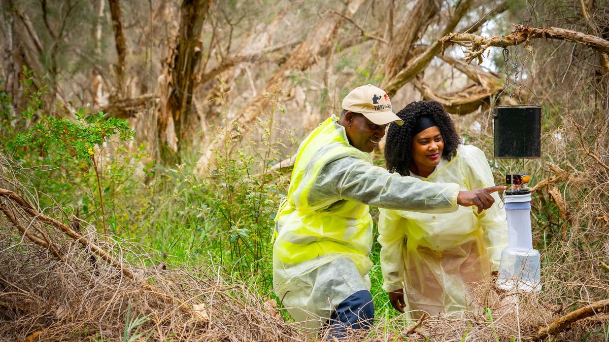 ECU | Diploma of Environmental Health