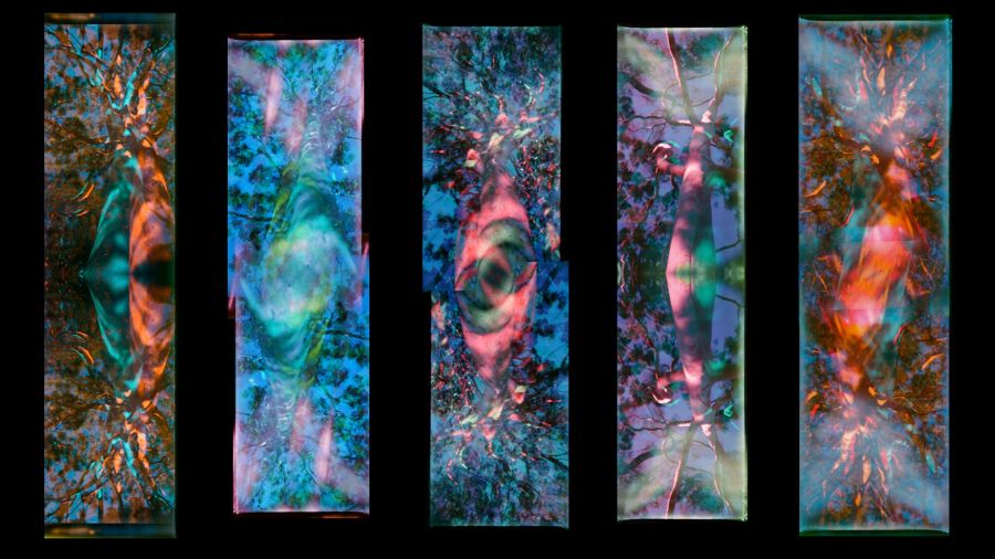 ECU | Twisted Vision: Holographic art comes alive at ECU
