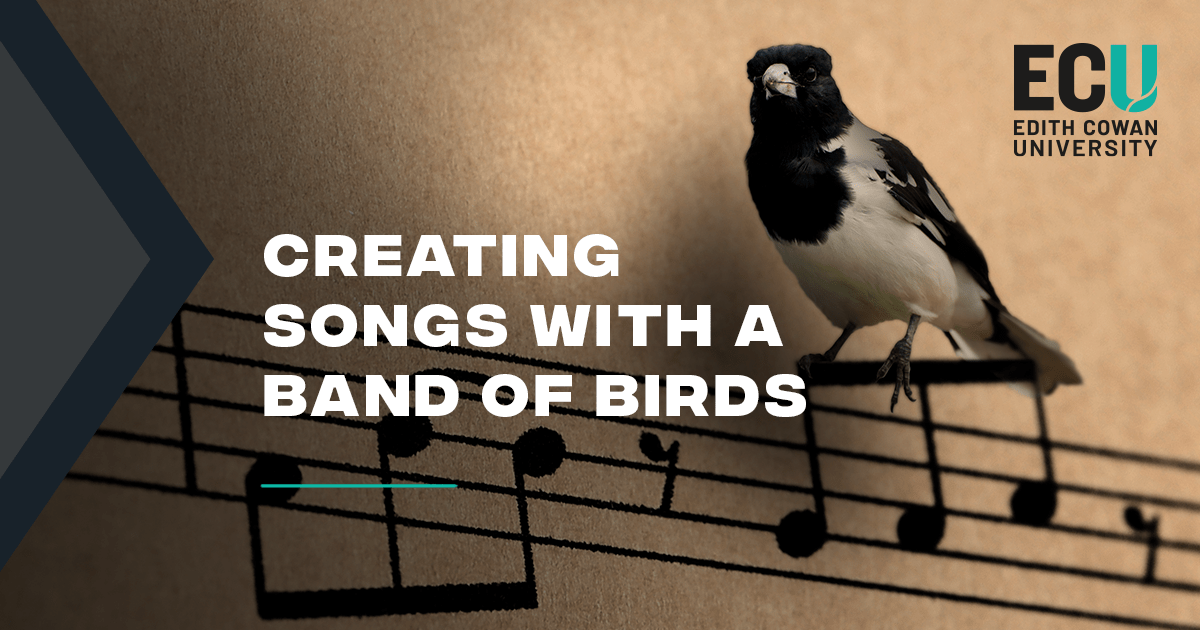 Bird song - ECU World-Class Research