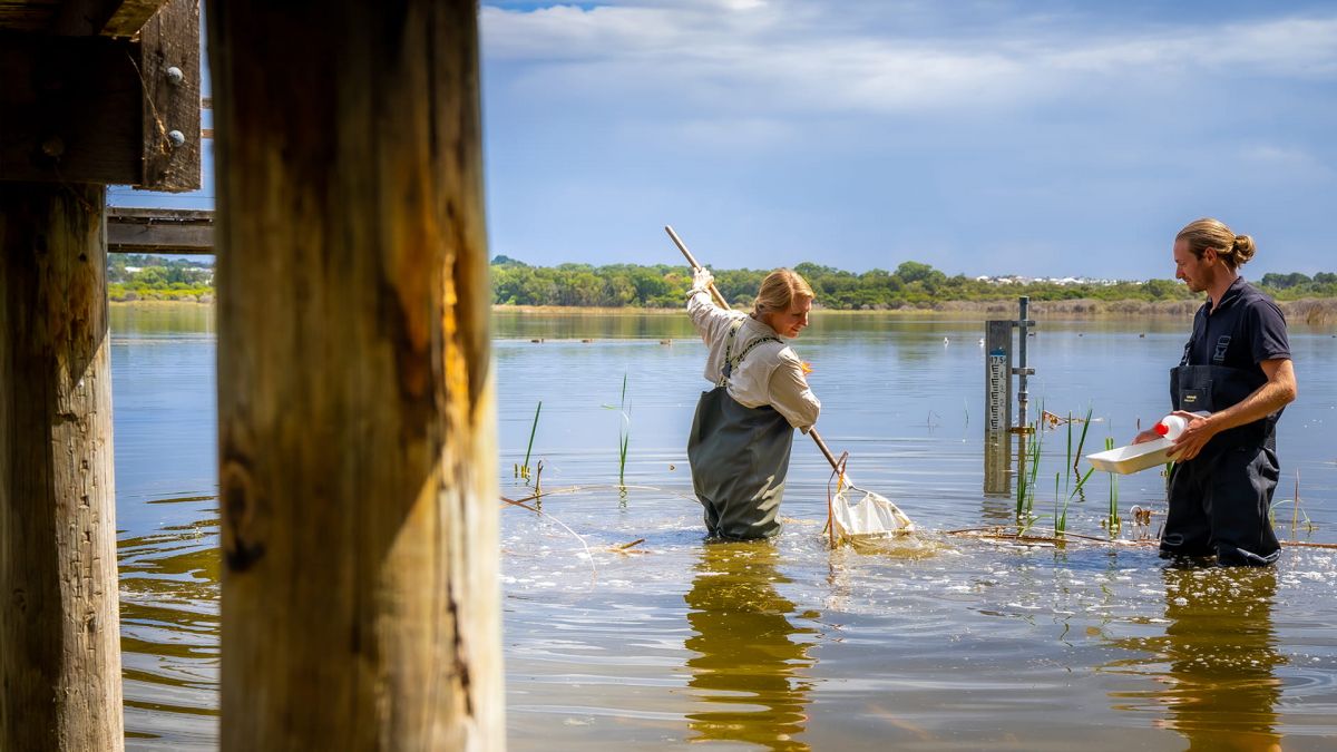 ECU | Master of Environmental Science