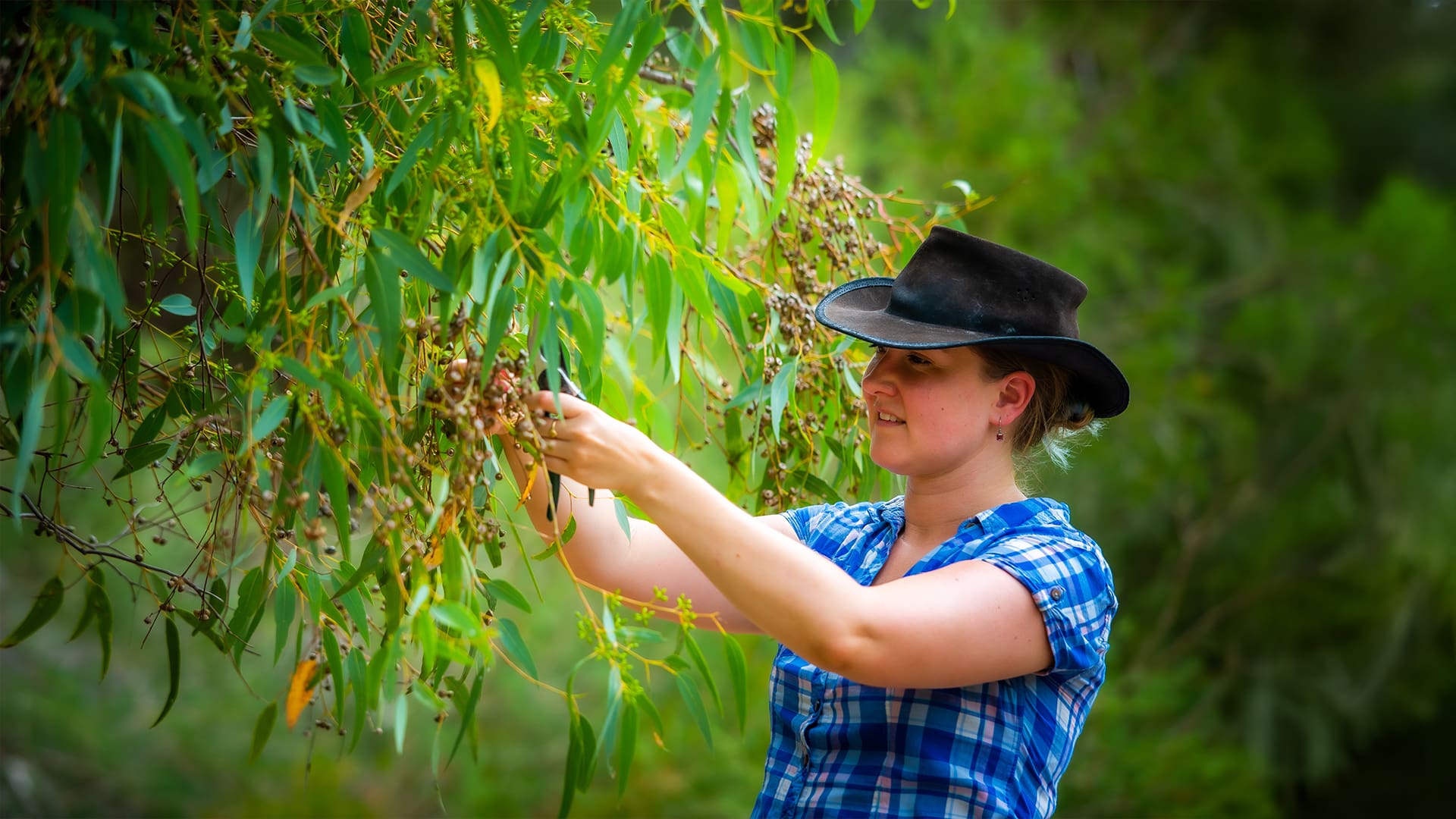 ECU | Master of Environmental Studies