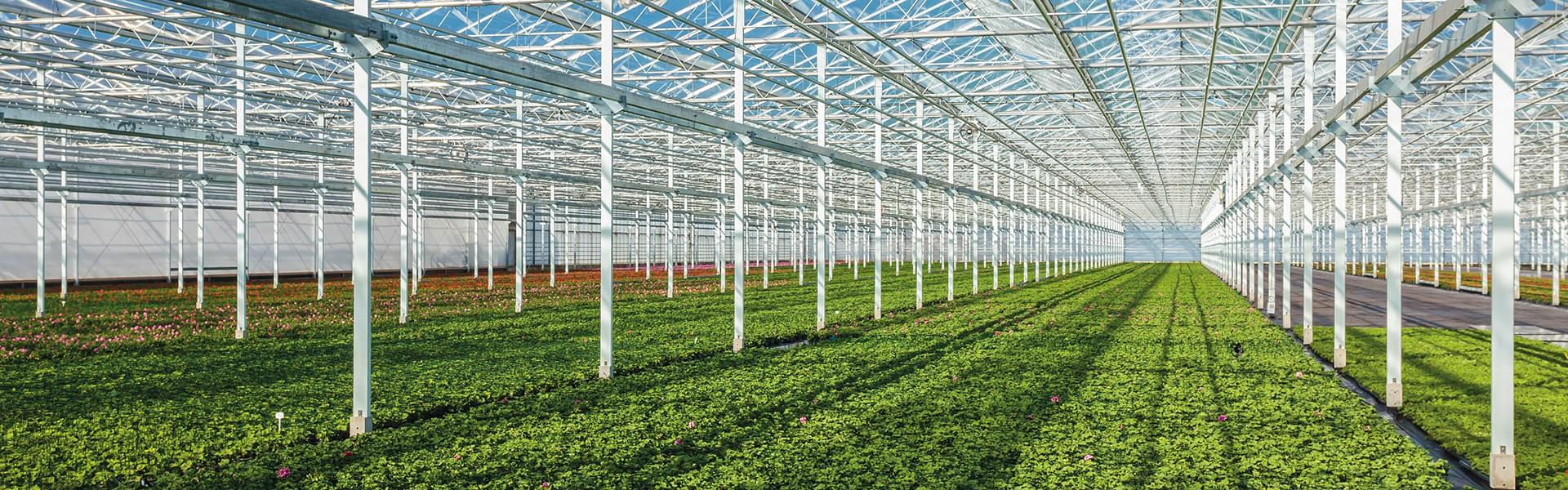 ECU | World Class Solar Glass Research